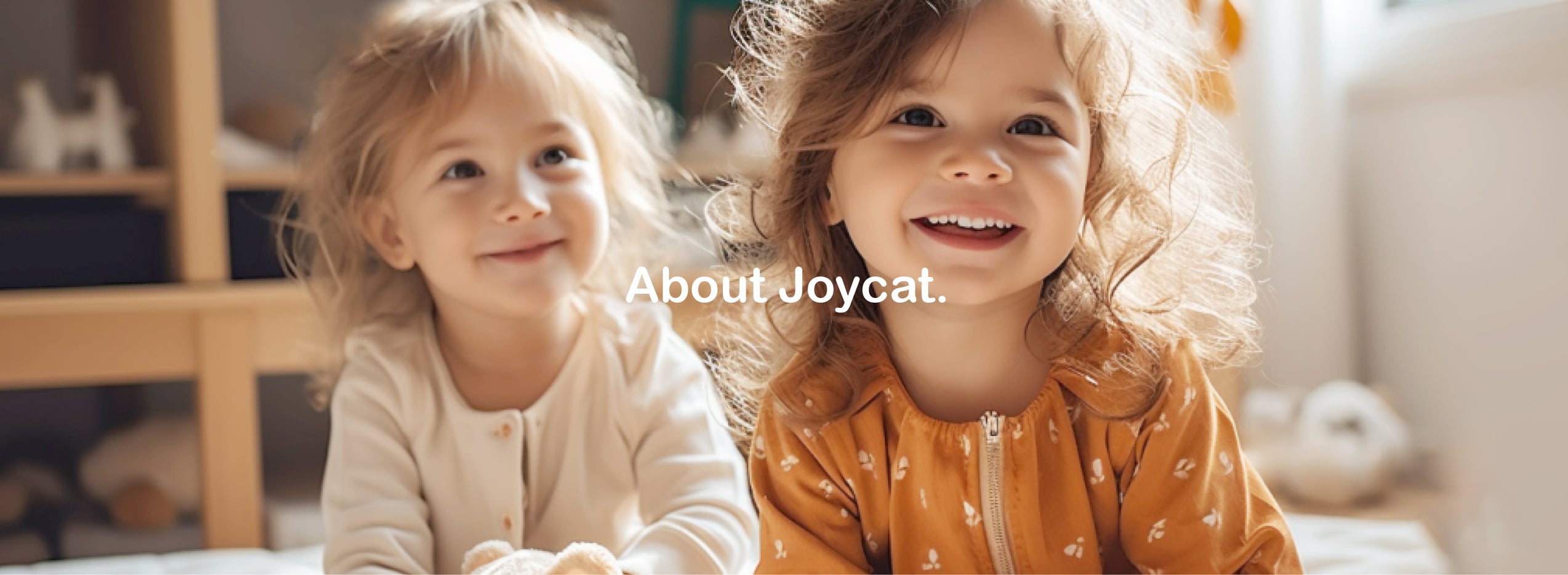 About JoyCat – Educational and Learning Toy Store