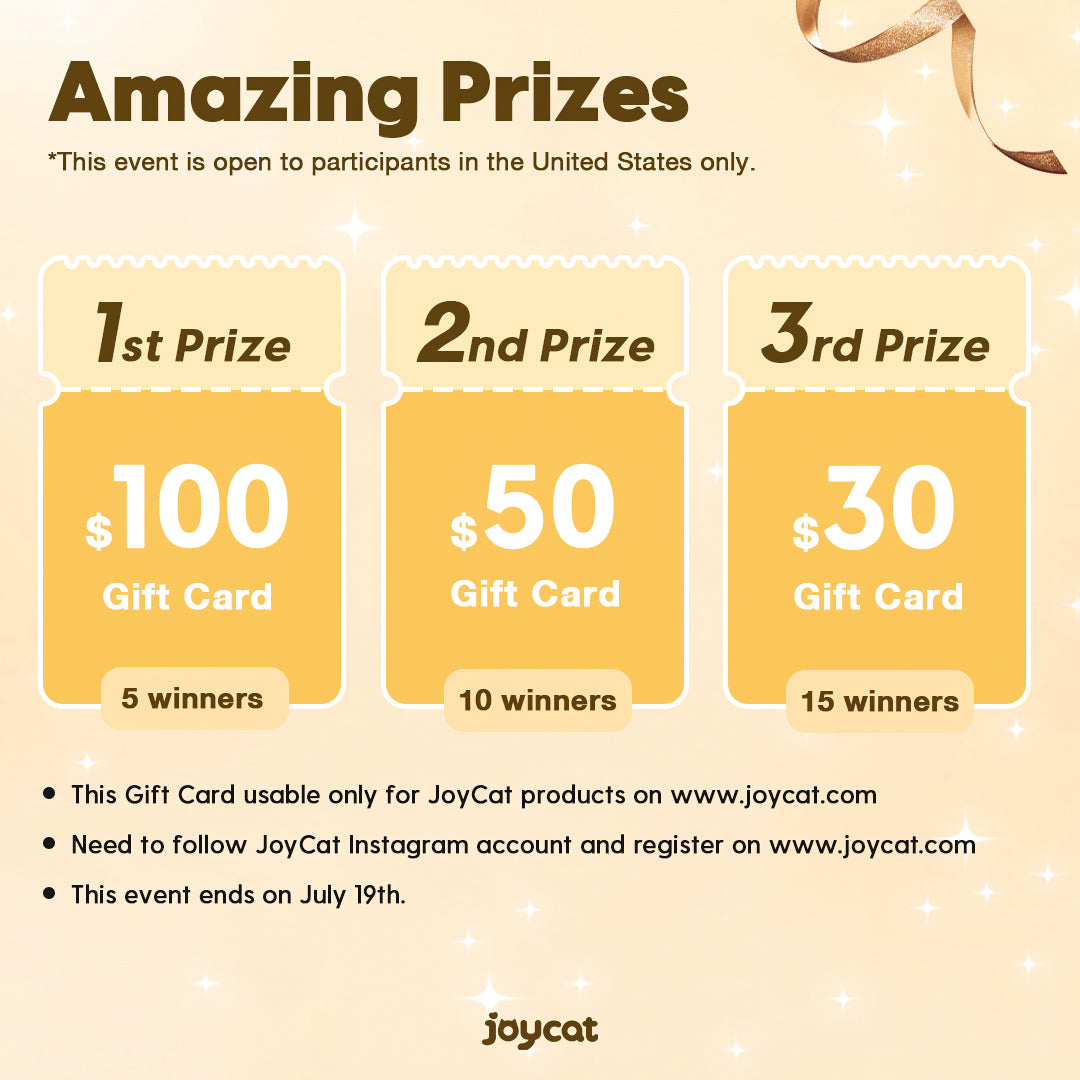 Subscription Campaign – JoyCat